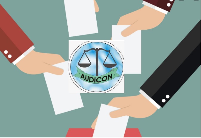 DIRETORIA ELEITA DA AUDICON - AUDICON