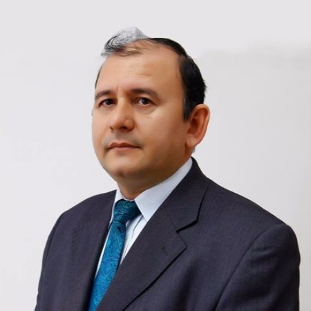 Quem são os Auditores Independentes no sistema de Controle Externo ...